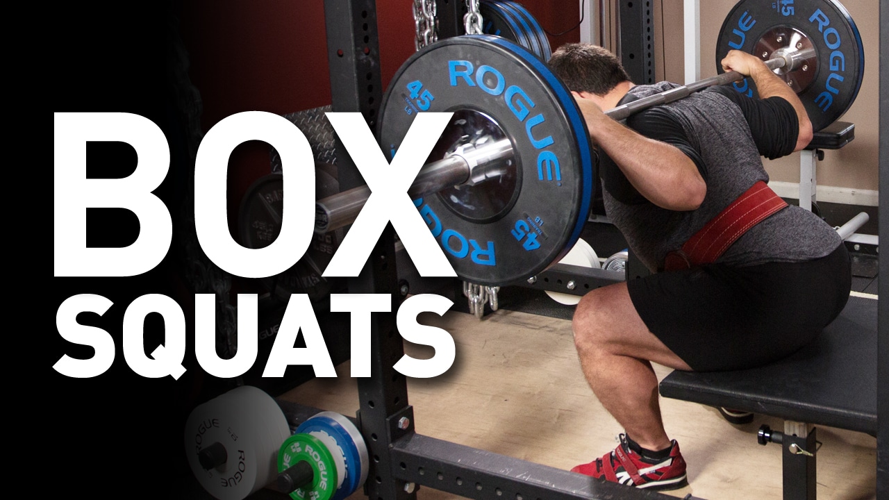 Box Squats: How We Do Them vs. Westside | Barbell Logic